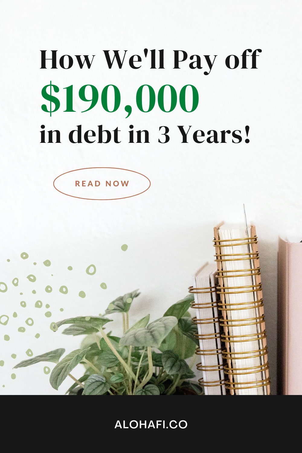How We’ll Pay off $190,000 in debt in 3 Years! — AlohaFi