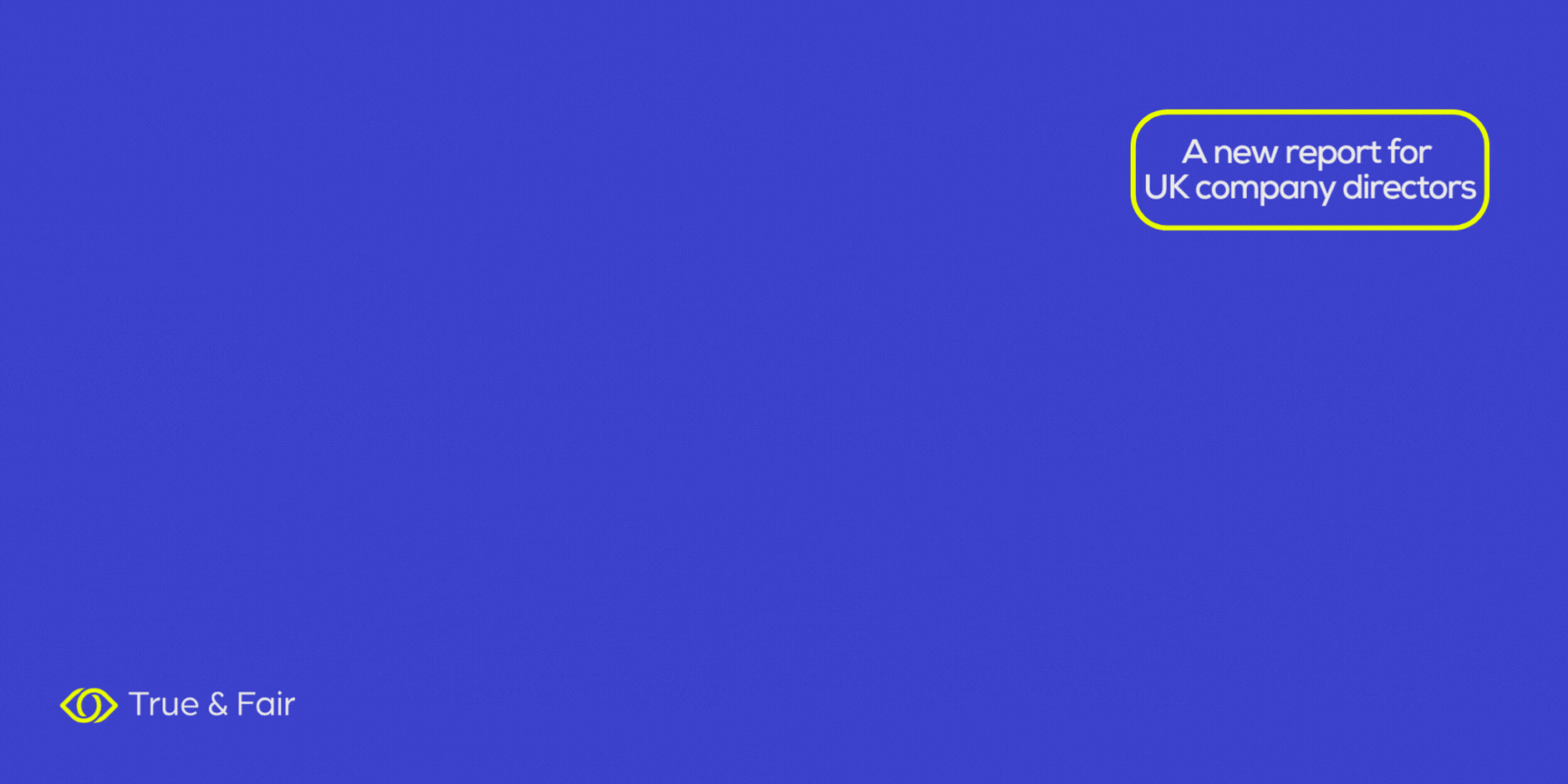 True & Fair Project — Social Value International