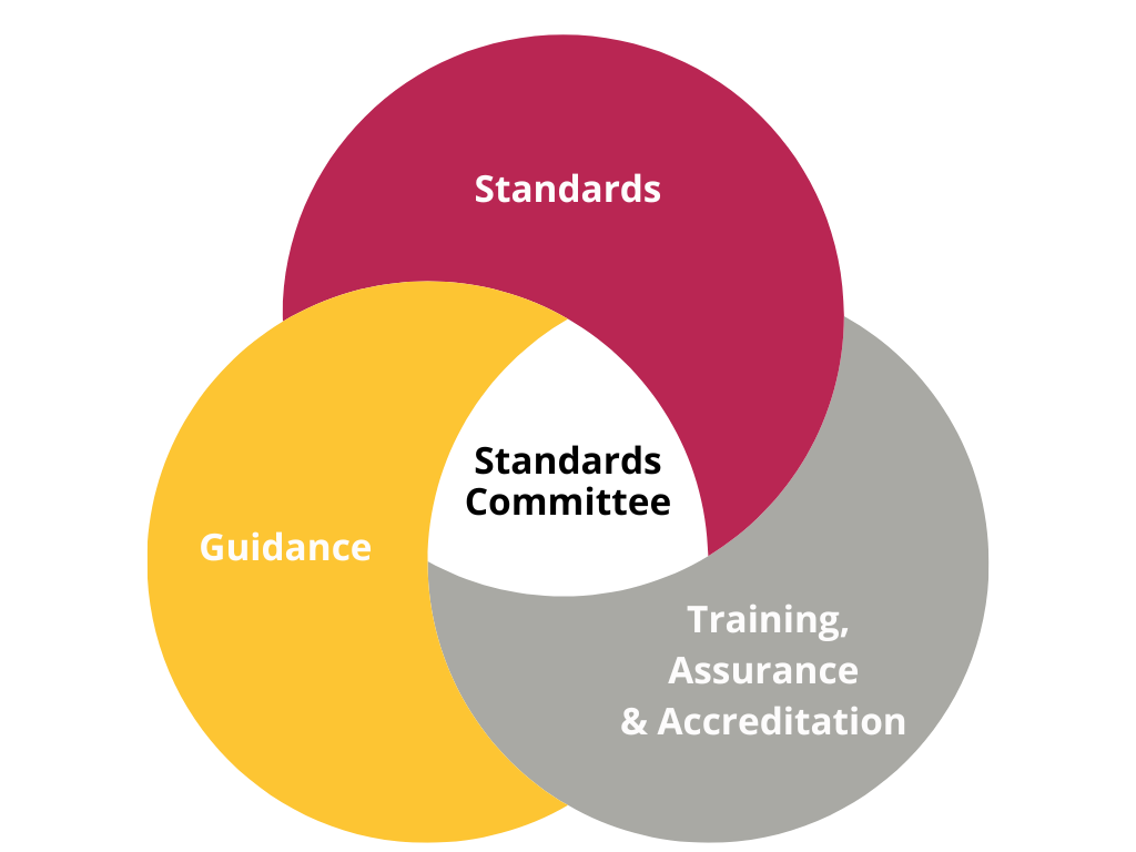SVI Standards Committee — Social Value International