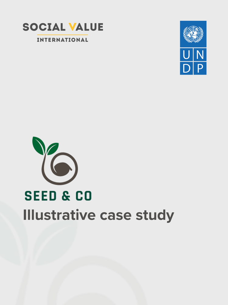 SDG Impact Standards — Social Value International