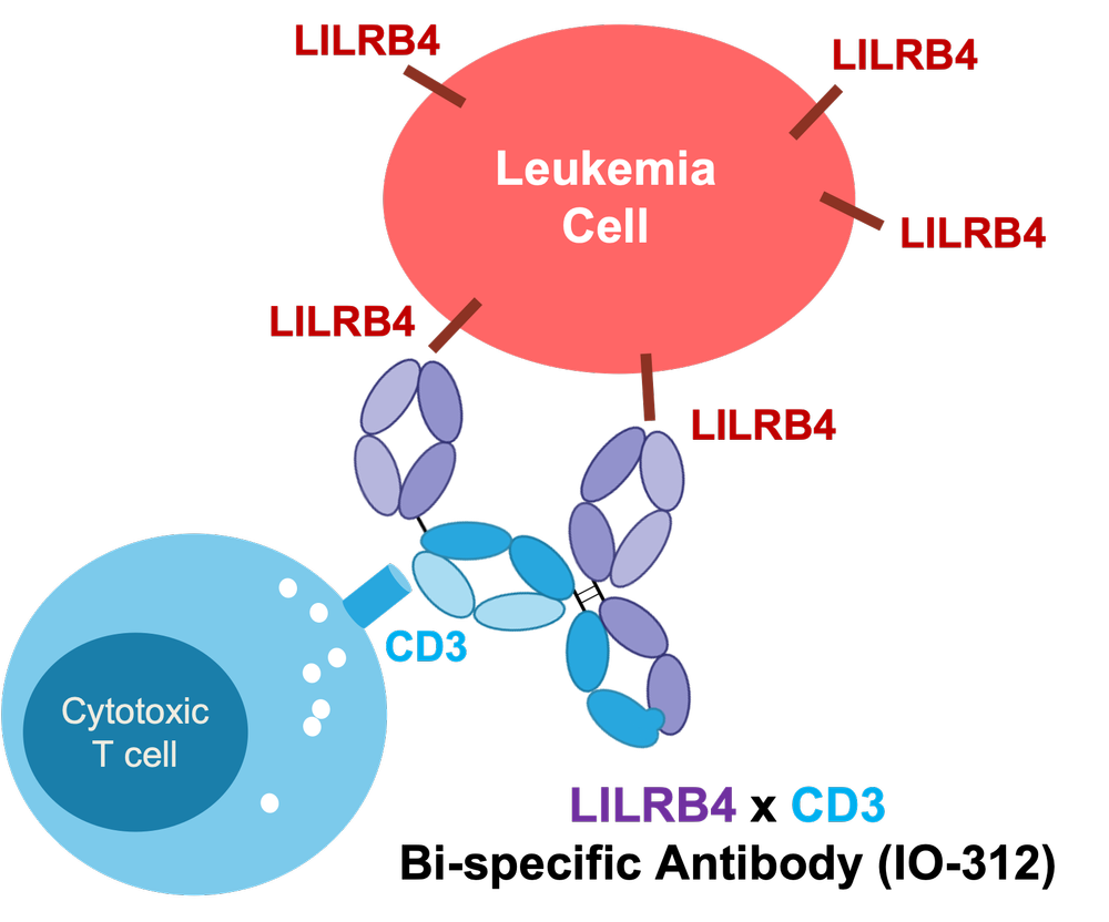 Blood Cancers — Immune-Onc Therapeutics