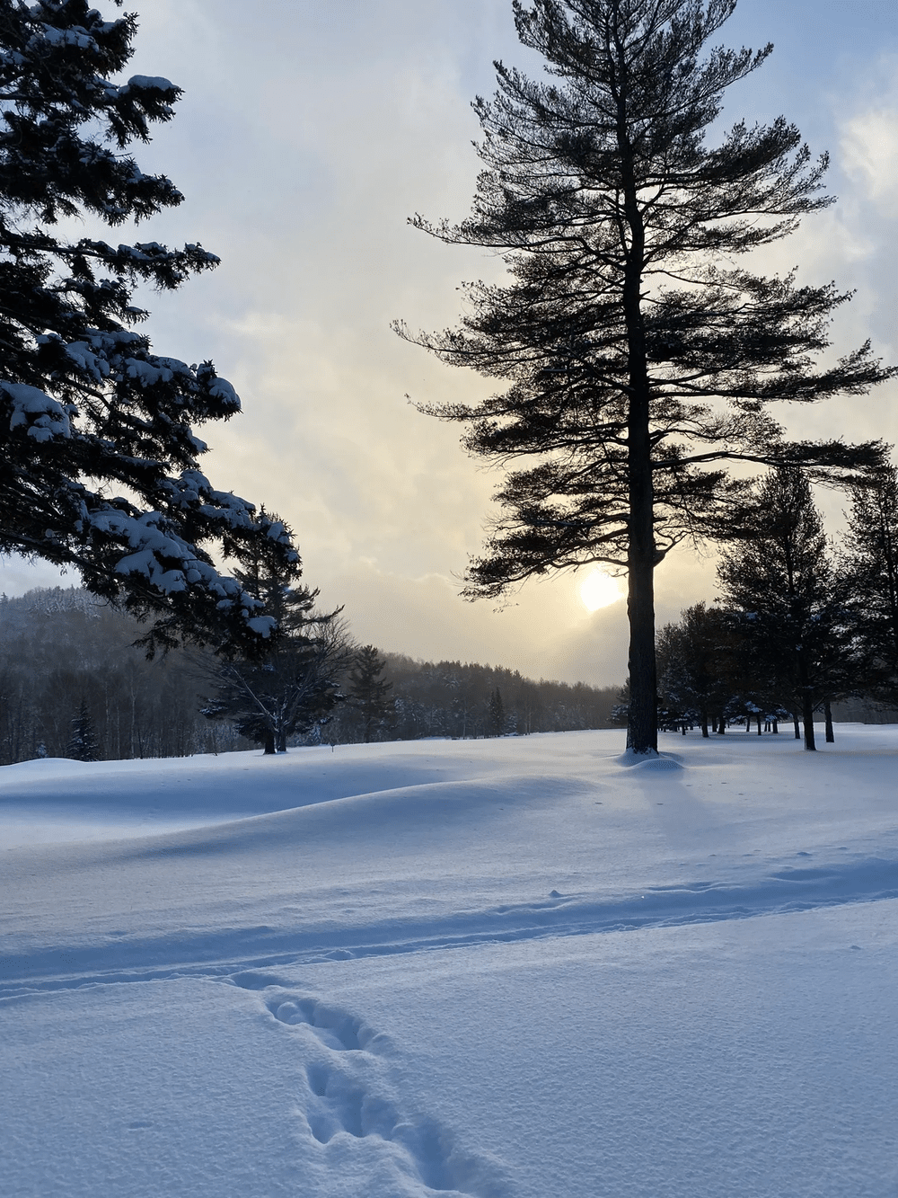 James C. Frenette Trails | XC Skiing | Tupper Lake, NY | Things to Do ...