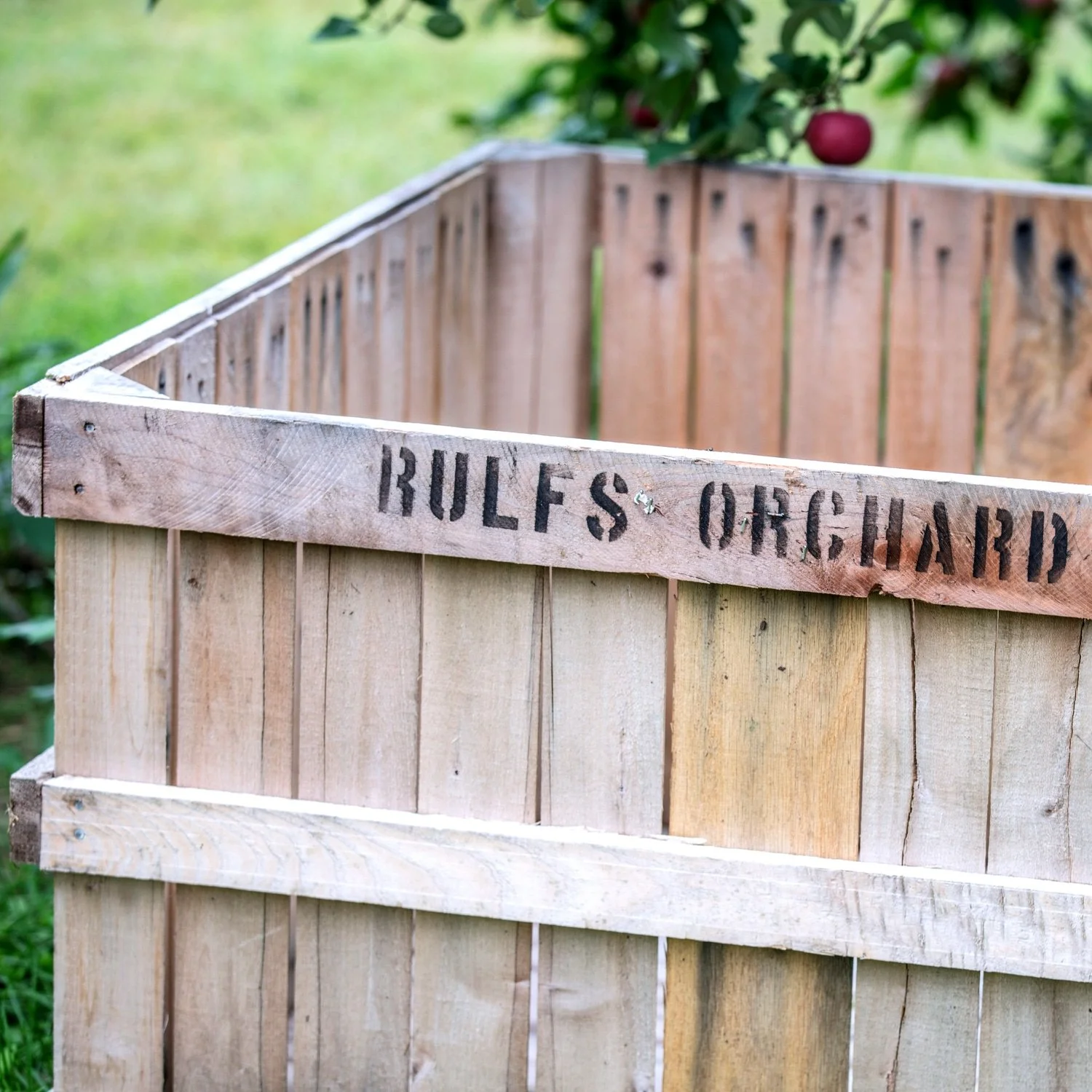 Rulfs Orchard | Peru, NY | Lake Champlain | Adirondacks