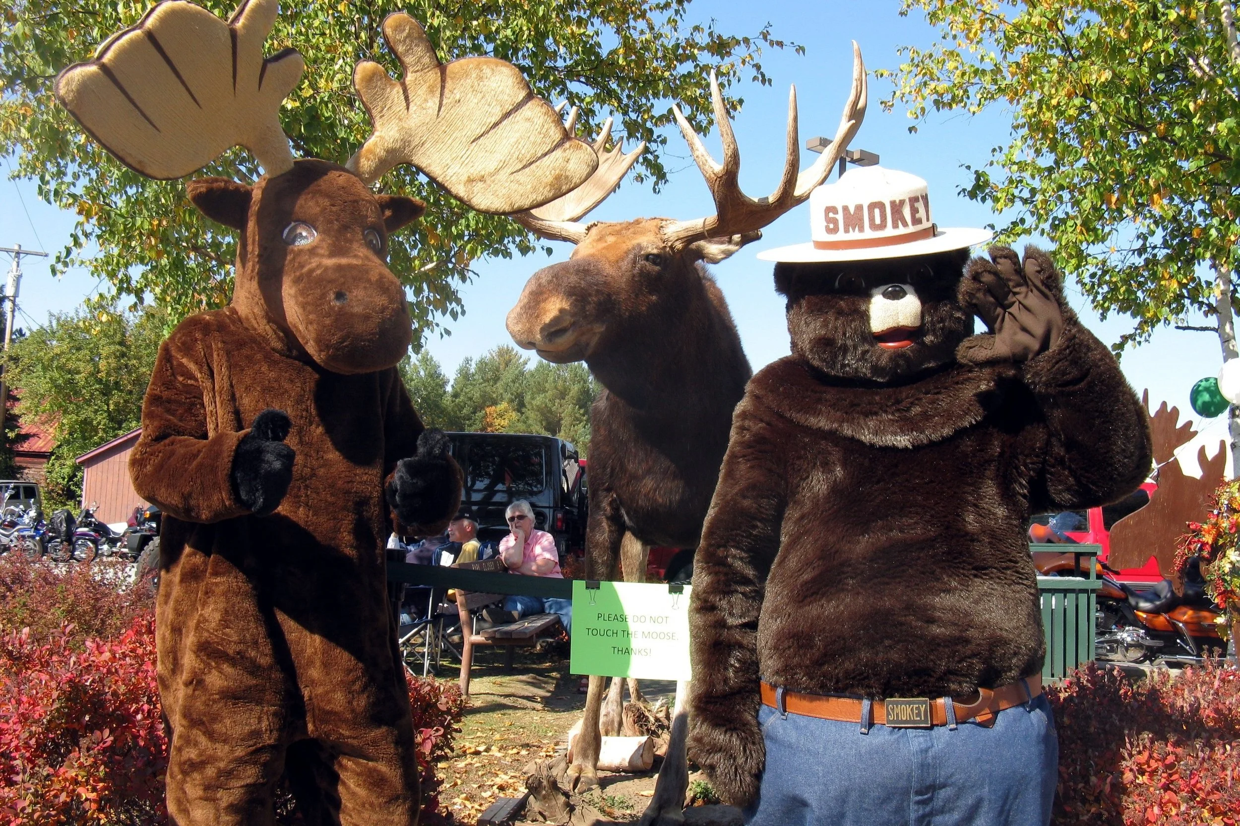 Great Adirondack Moose Festival | Indian Lake | September 27-29 ...