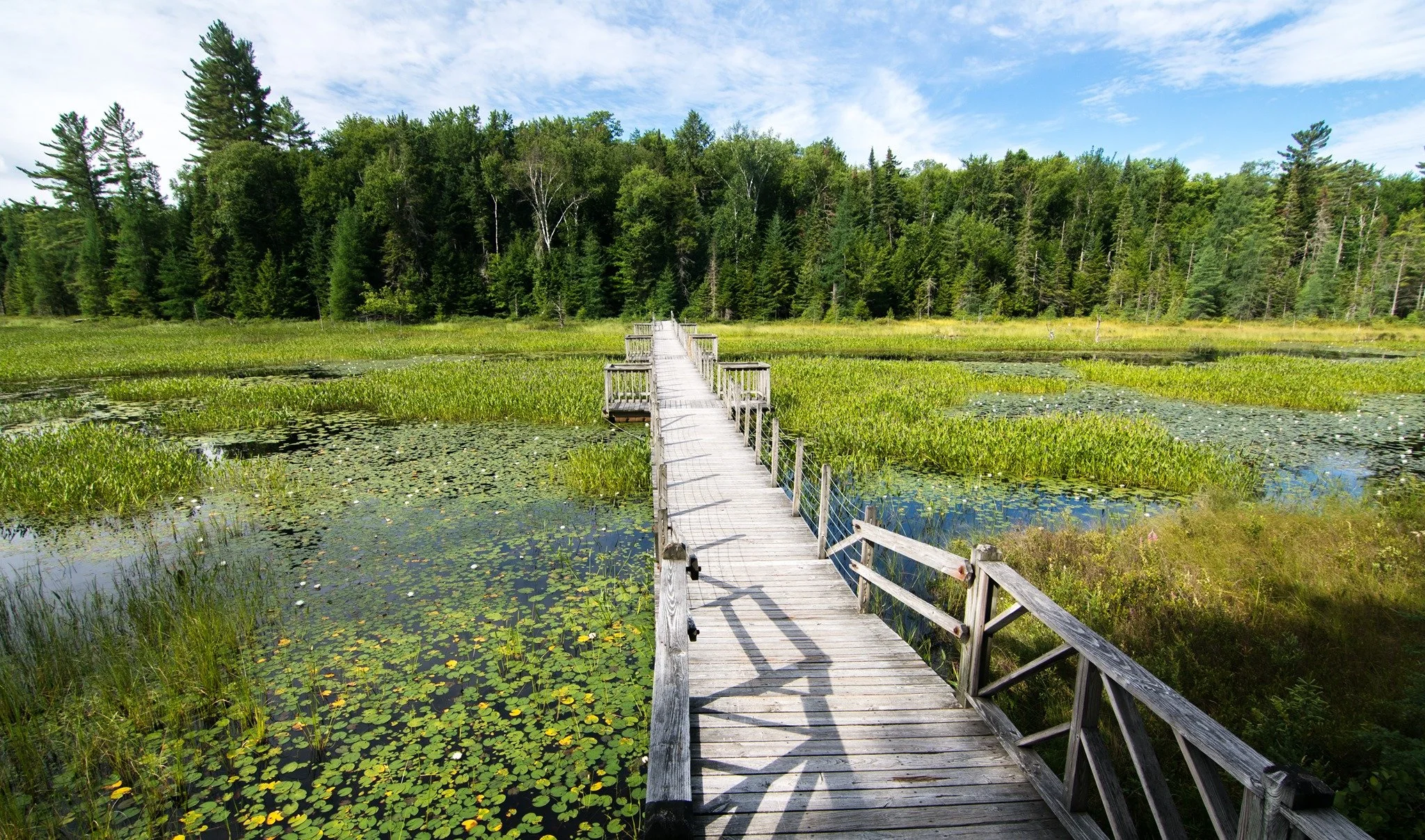 Paul Smith's Visitor Interpretive Center | Explore the Wonders of the ADK | Adirondacks