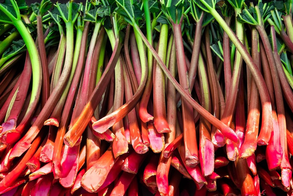 Rhubarb Festival | Lake George | Warrensburg | May 30 | Things to Do in ...