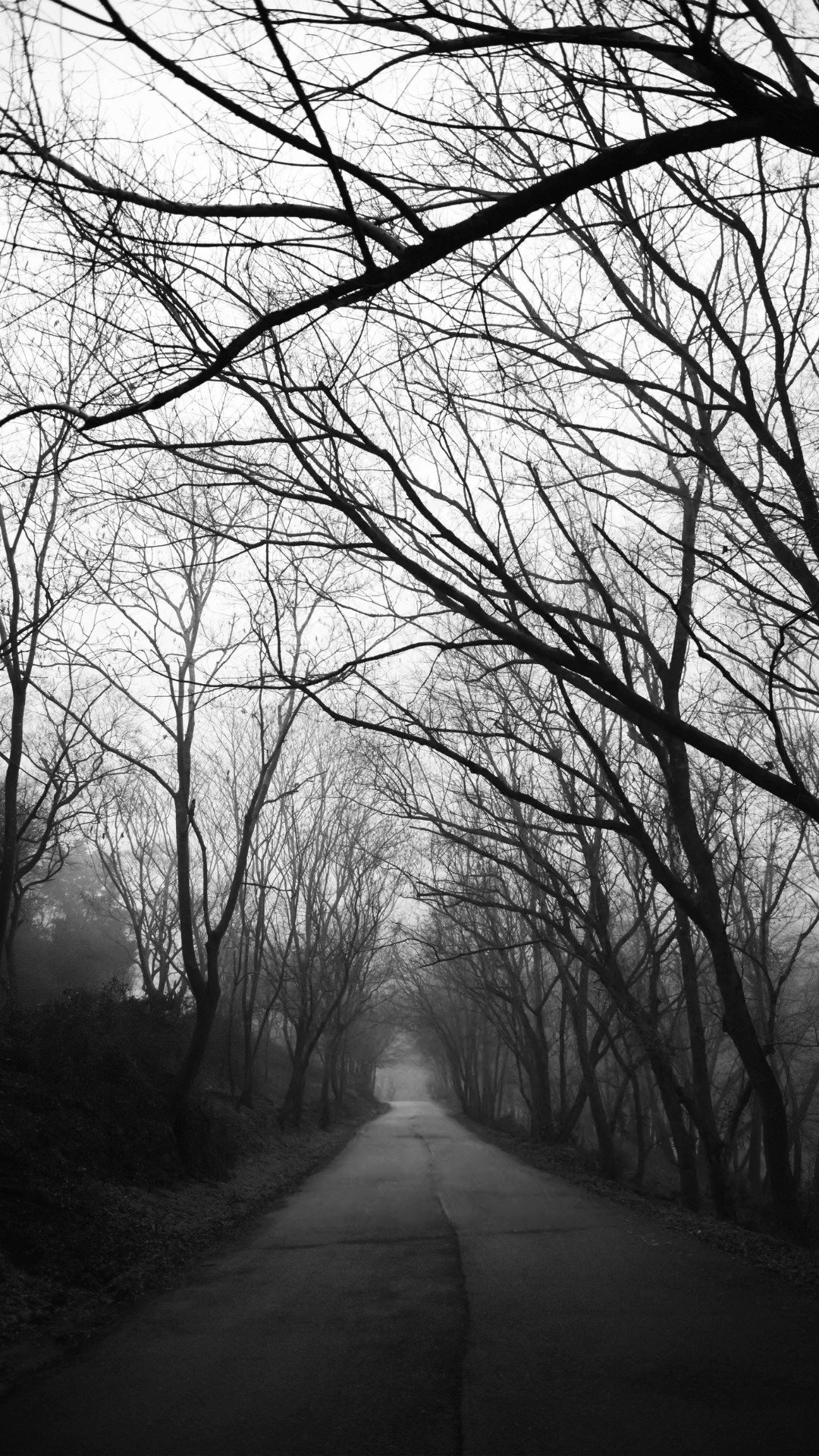 Restaurant | Chef Darrell's Blue Mountain Diner | Adirondacks