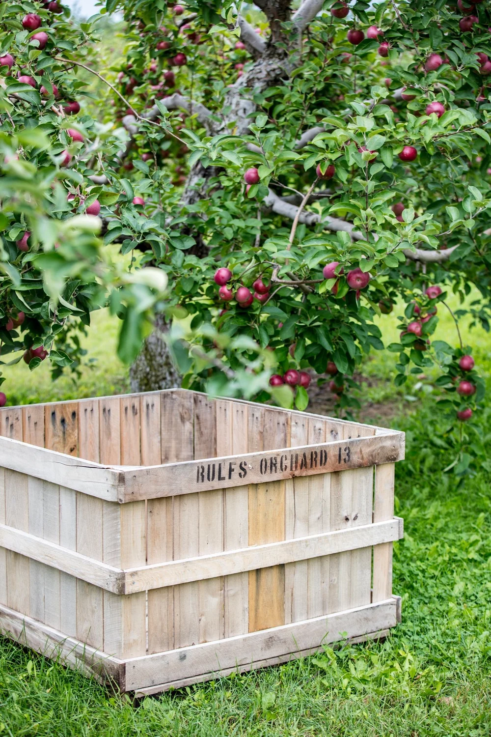 Rulfs Orchard | Peru, NY | Lake Champlain | Adirondacks