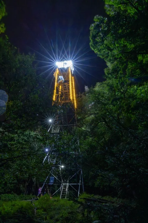 Adirondack Fire Towers | Lighting Up HIstory | Things to Do in the ...