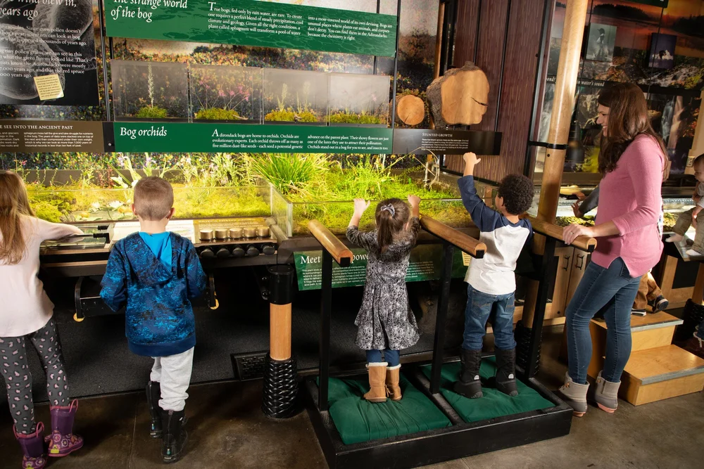 Best U.S. Science Museum | The Wild Center in Tupper Lake | Things to ...