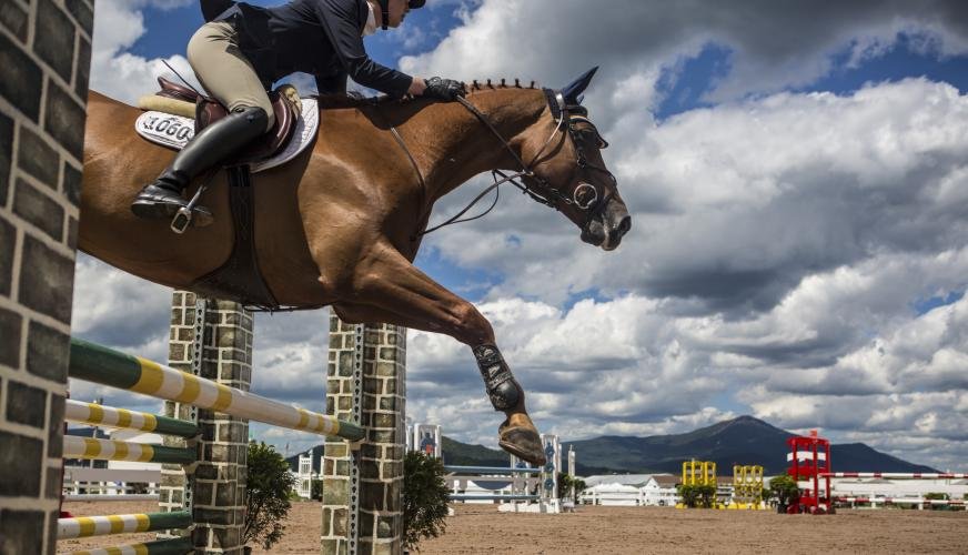 Lake Placid | Horse Shows | Things to Do in the Adirondacks