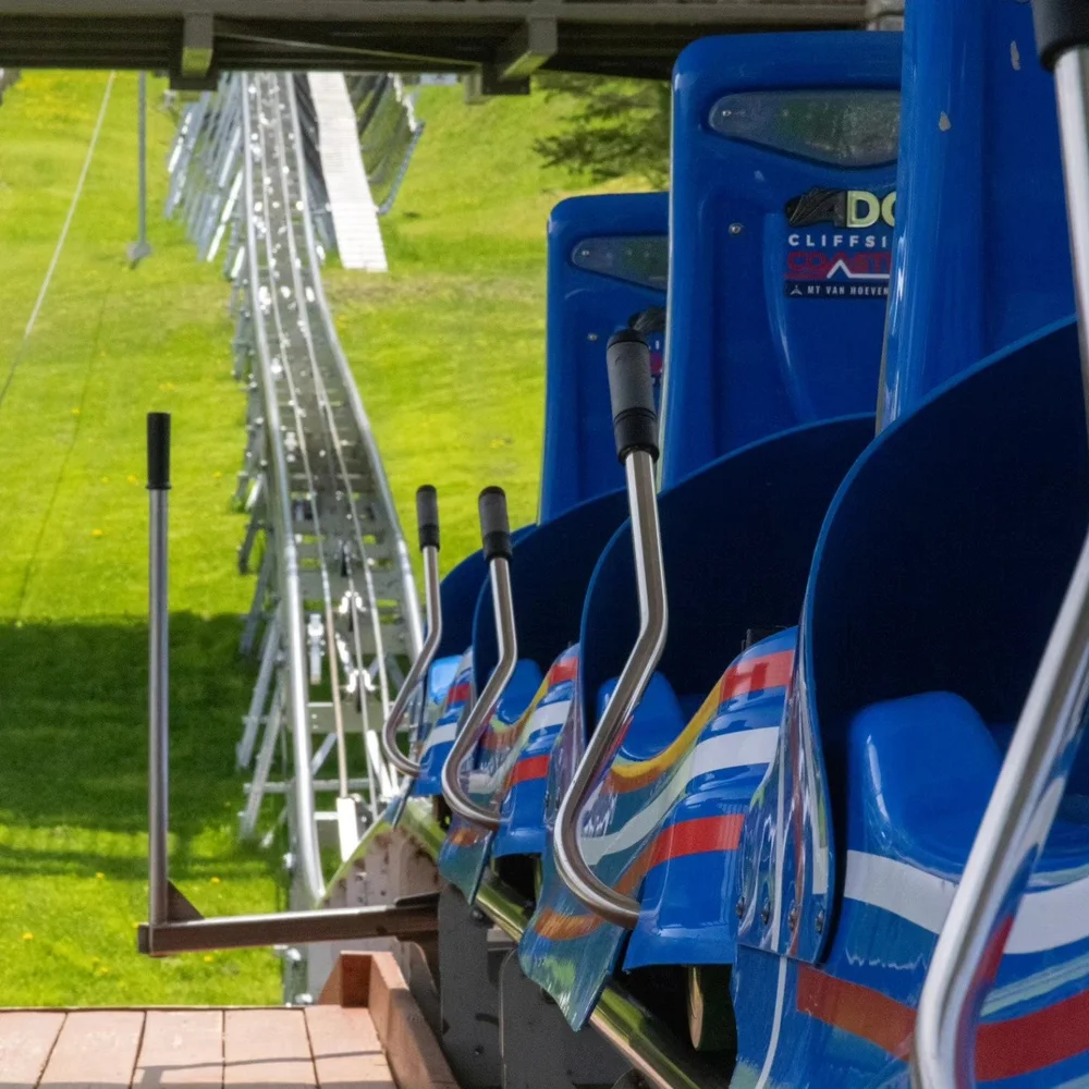 Cliffside Coaster | Like Placid | Mt. Van Hoevenberg | Things to Do in ...