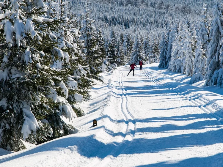 Adirondack Tour de Ski 2024 | Things to Do in the Adirondacks