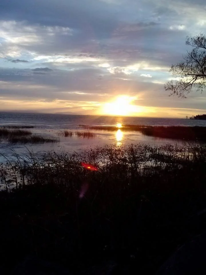Adirondack Camping | Lake Champlain | Ausable Point Campground | Things ...