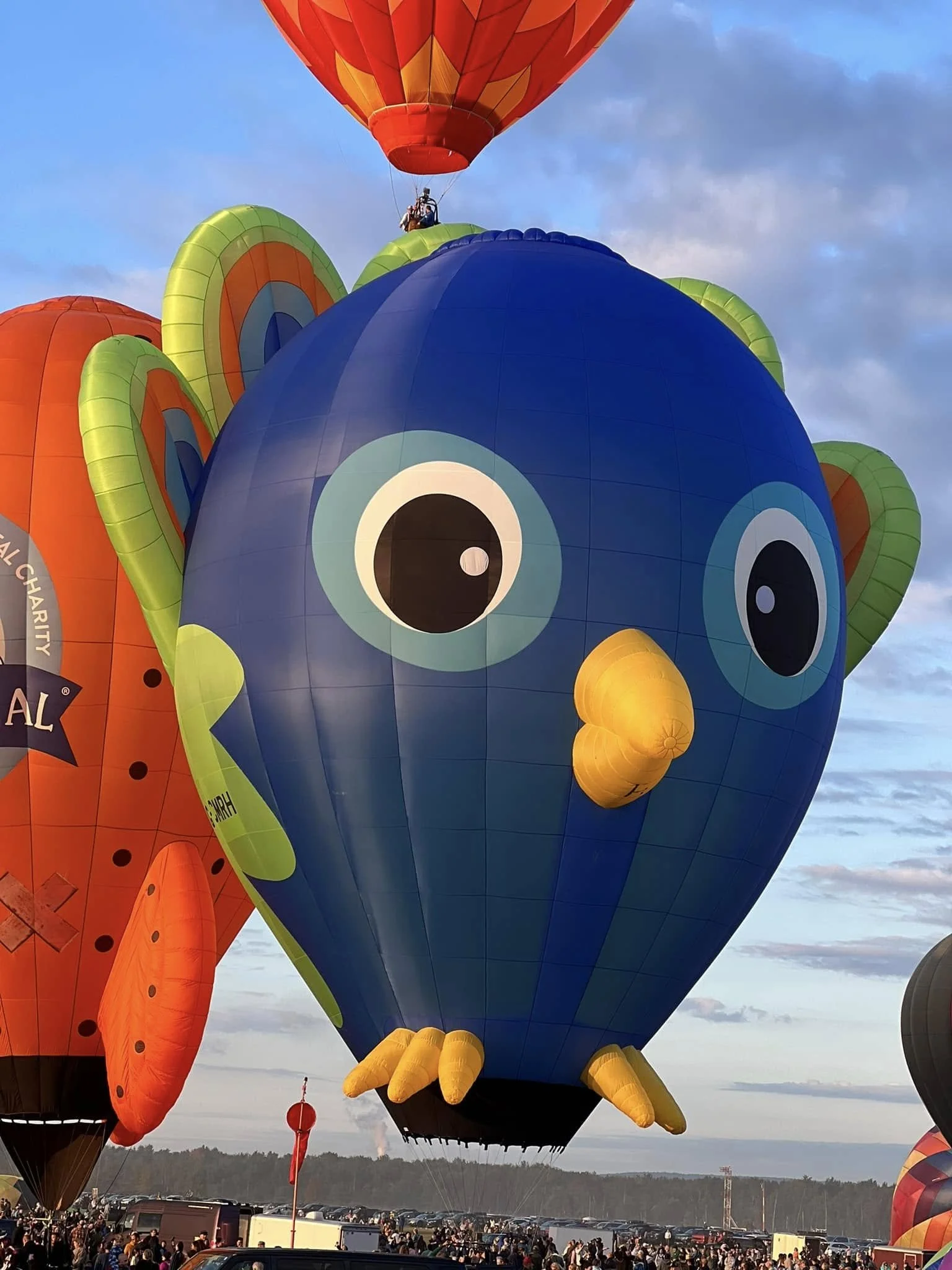 Adirondack Balloon Festival 2025: Must-See Guide | Queensbury | Things ...