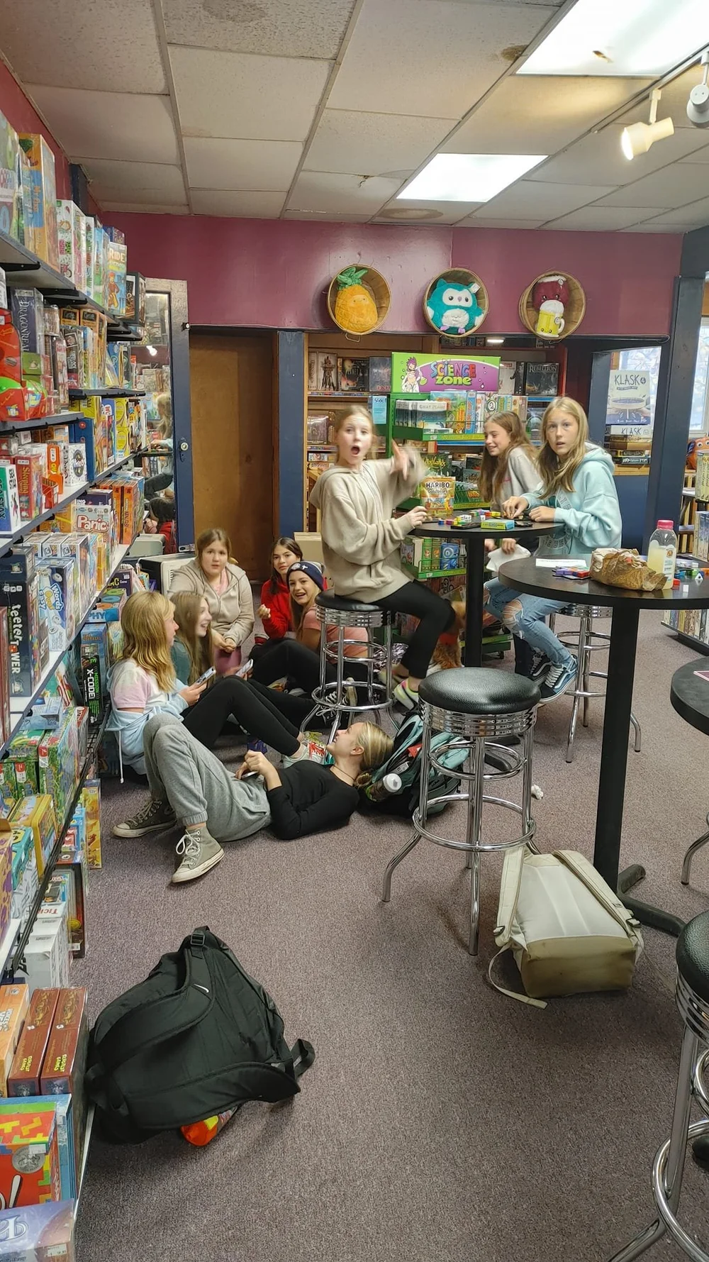 Goody Goody's: Saranac Lake's Top Destination for Toy and Game Shopping ...