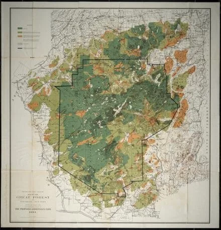 Born of Forest and Fire | History of the Adirondack Park | Forever Wild ...
