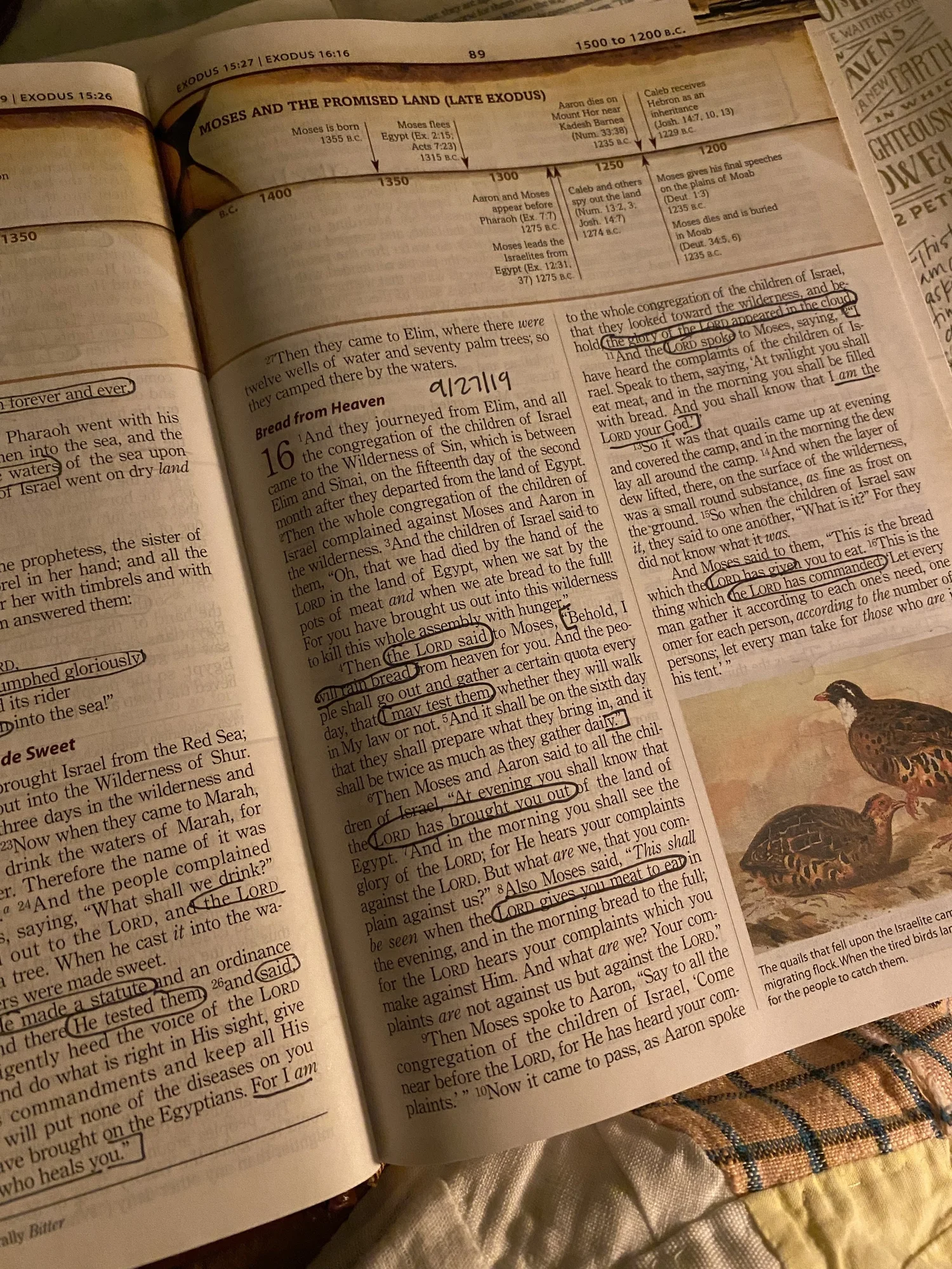 Three Bible Study Methods for Beginners — Following Titus 2