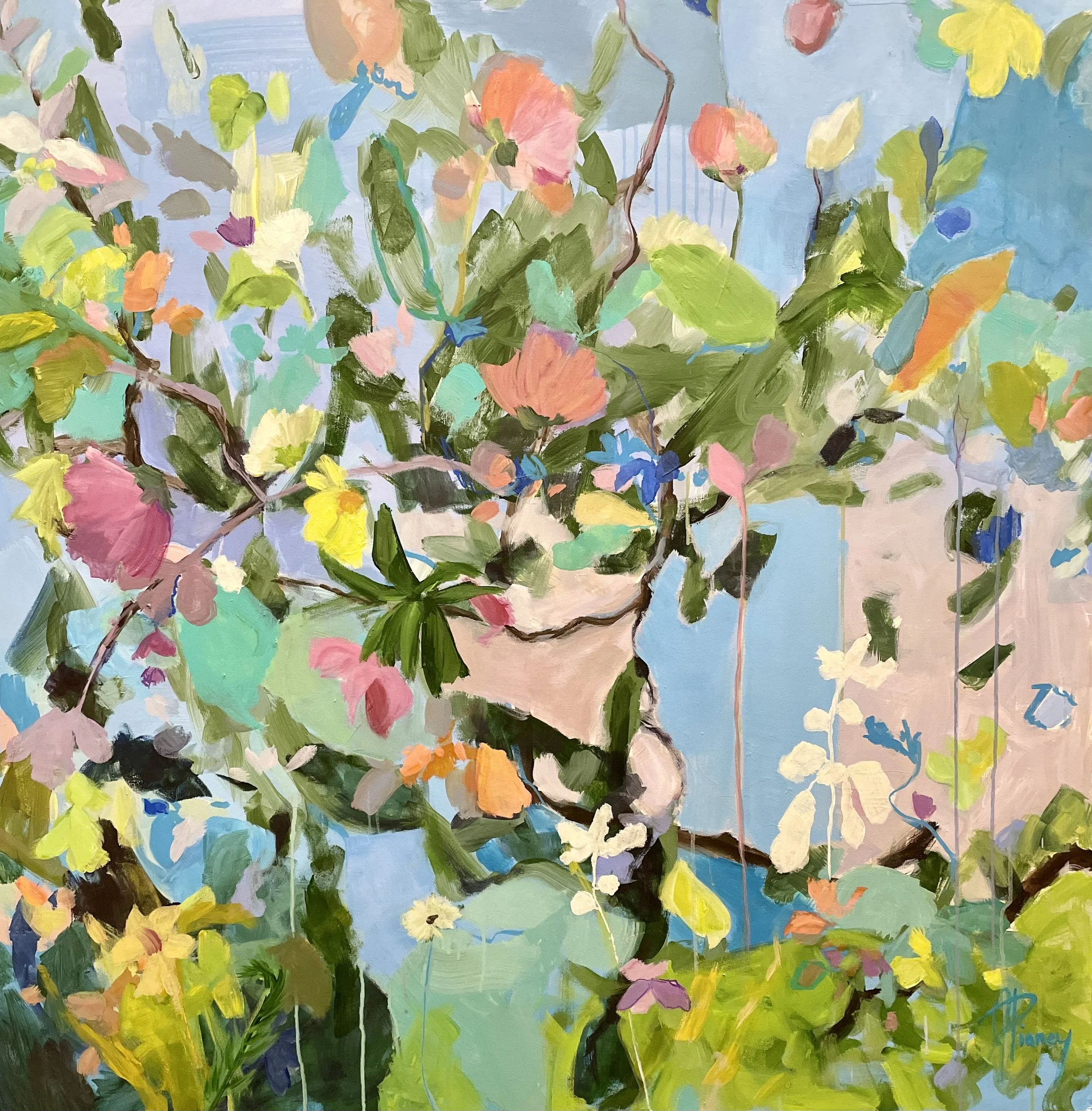 Portfolio — JANIE PINNEY ART