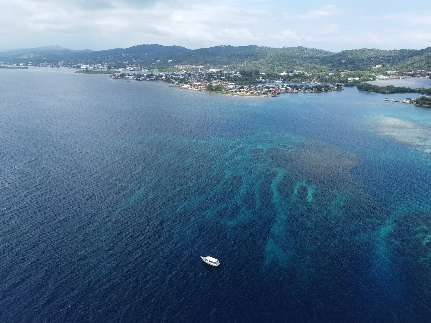 Form — Roatan Yacht Club and Dive Center