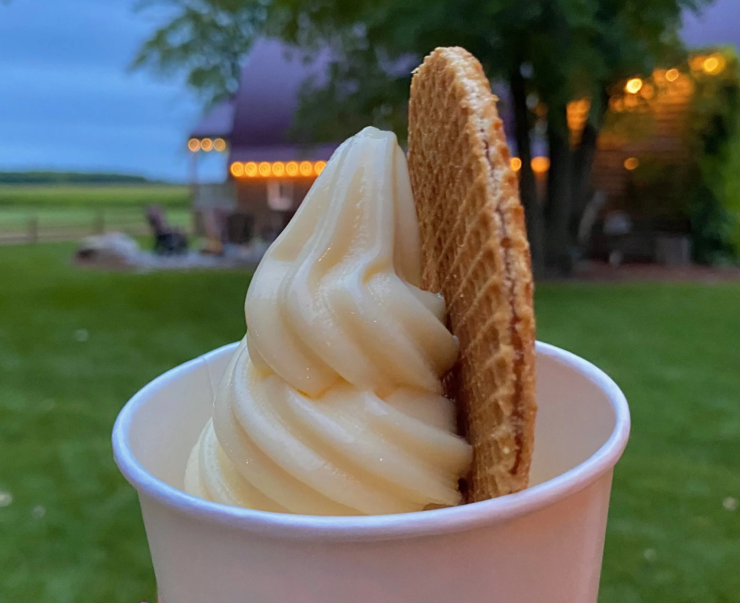 Lil Dipper Soft Serve | Ice Cream Truck Rental Minneapolis, MN