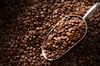 Premium Roasted Coffee: SilverCup Coffee Specialty Coffee