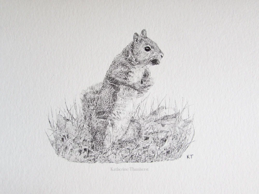 How to Bury an Acorn — Katherine Thunherst