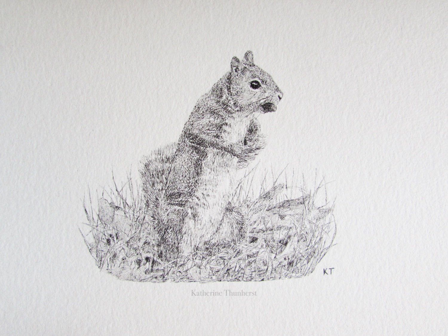 How to Bury an Acorn — Katherine Thunherst
