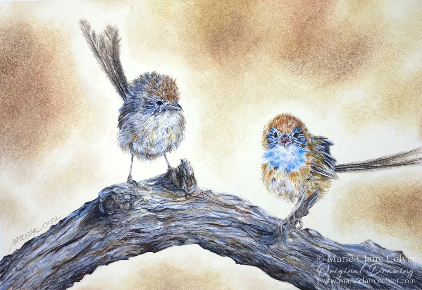 Purchase artwork — Marie-Claire Colyer