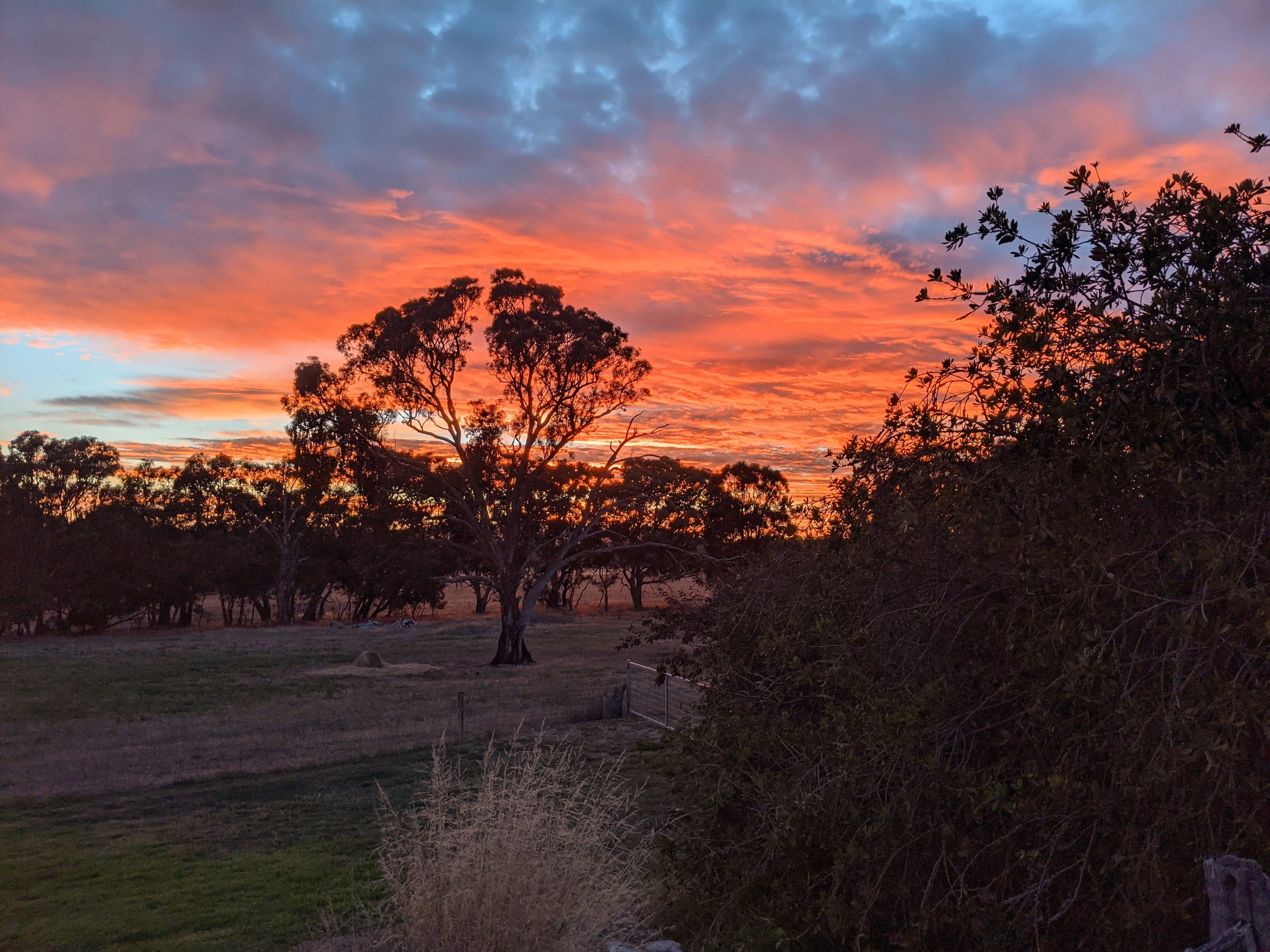 Our Community — Moyston Community