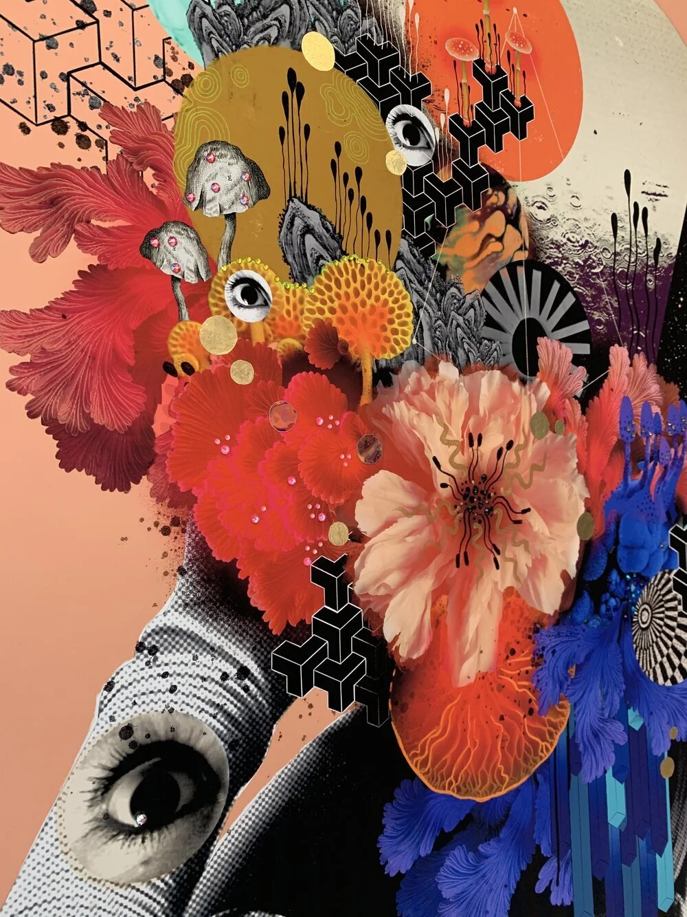 Shop — VICTORIA TOPPING