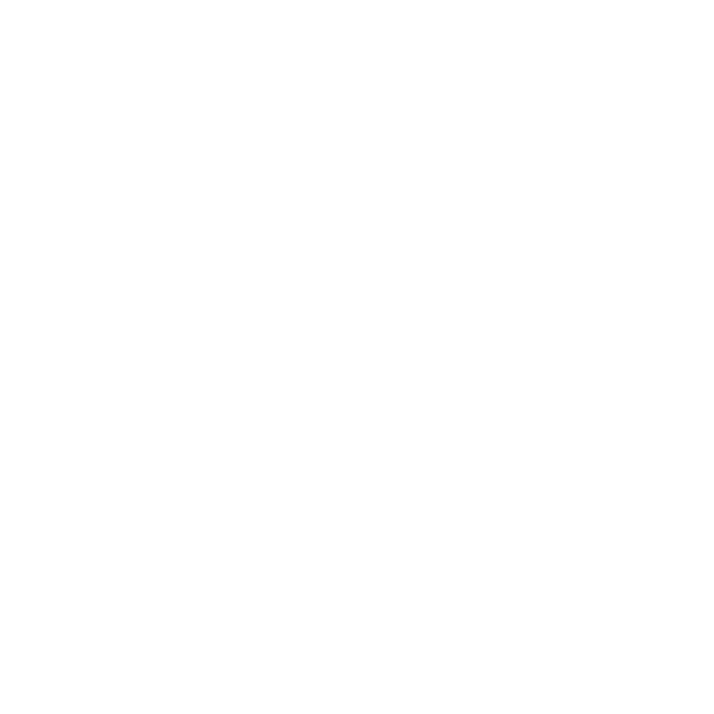 Digital Language Partners | Enhance Global Communication