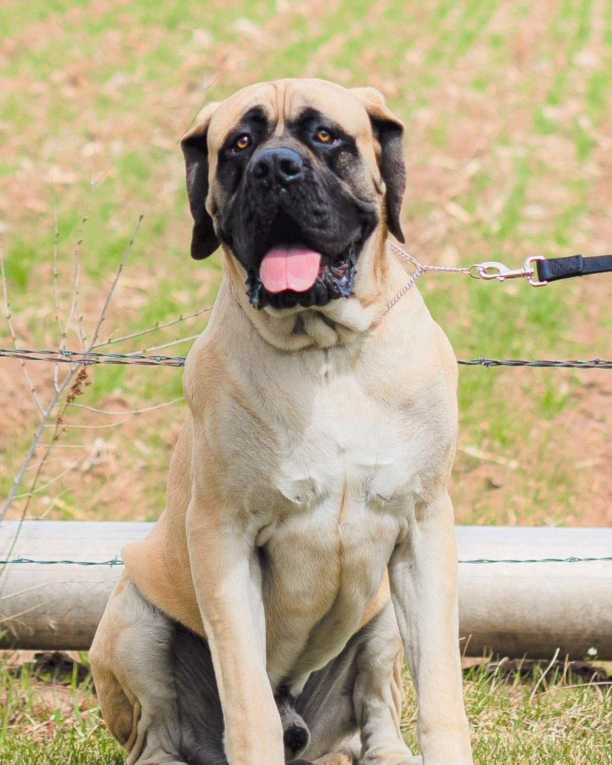 Meet The Team — Kuna Smiles