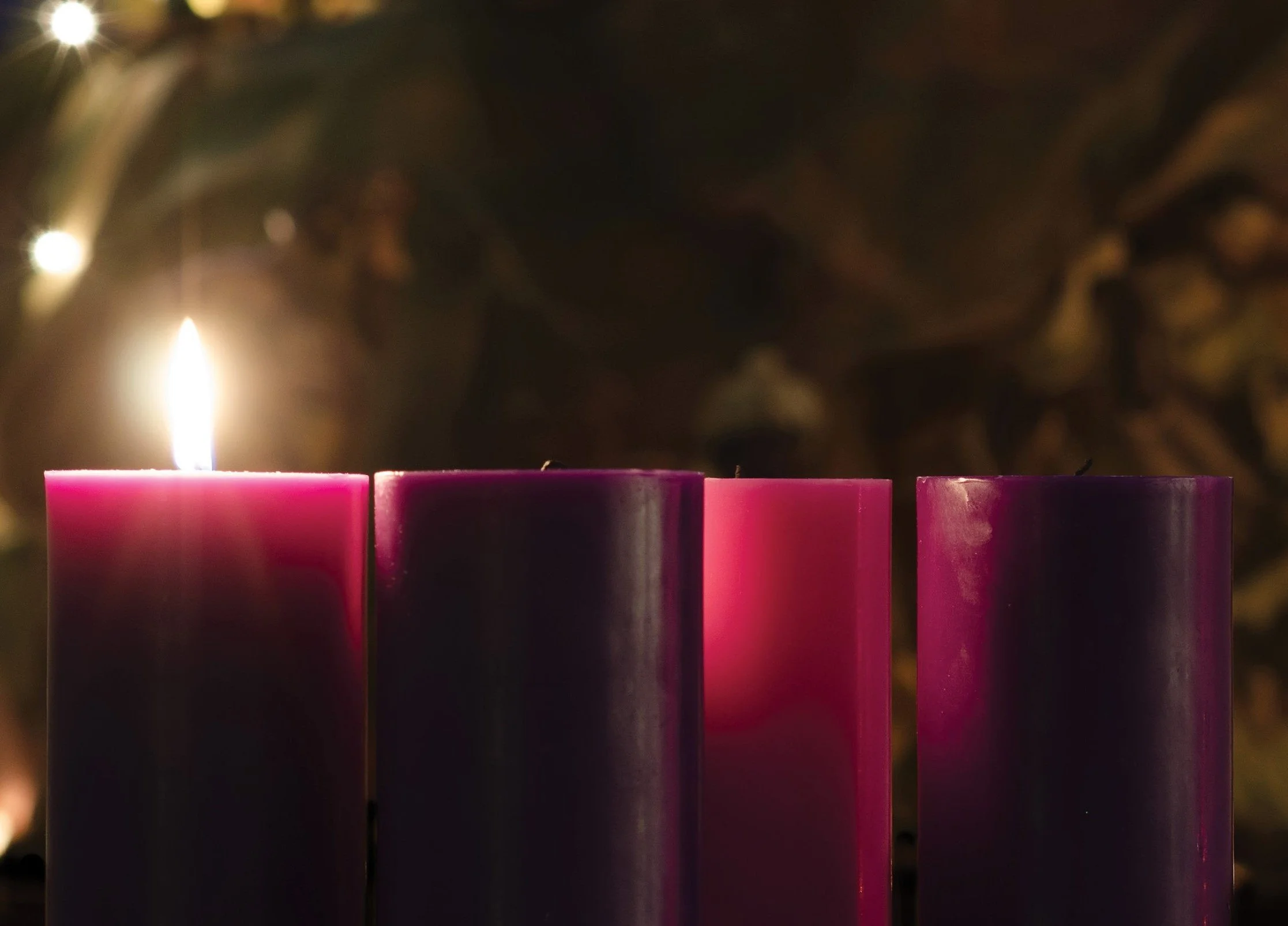 Advent @ the Shrine — The National Shrine of Saint Rita of Cascia