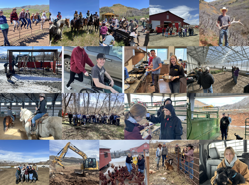 Warrior Rizen Foundation