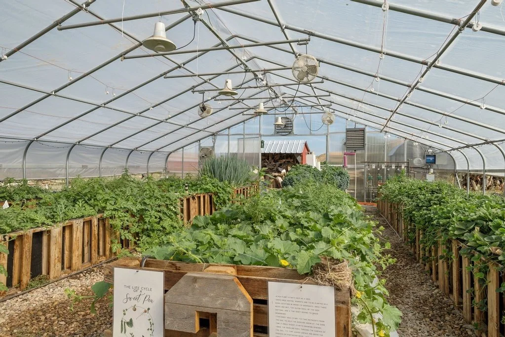 Warrior Rizen Foundation