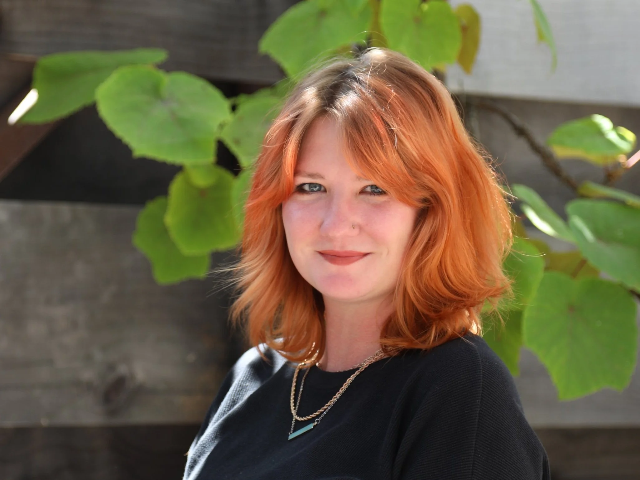 About — Sonoma County Art Trails