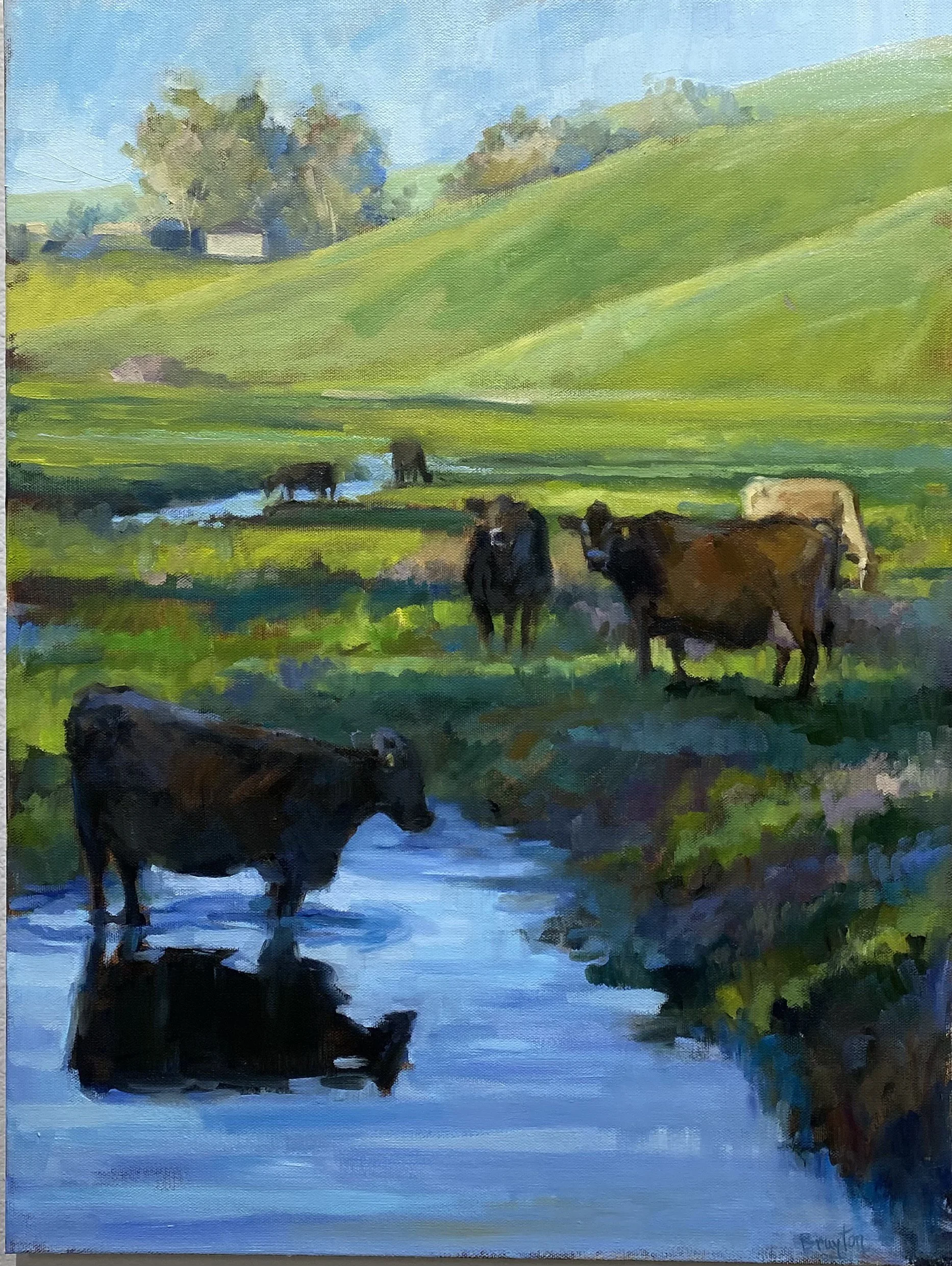 Wendy Brayton — Sonoma County Art Trails