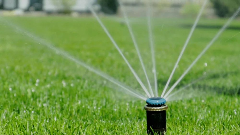 BG Irrigation + Landscapes | Transform Your Yard Today