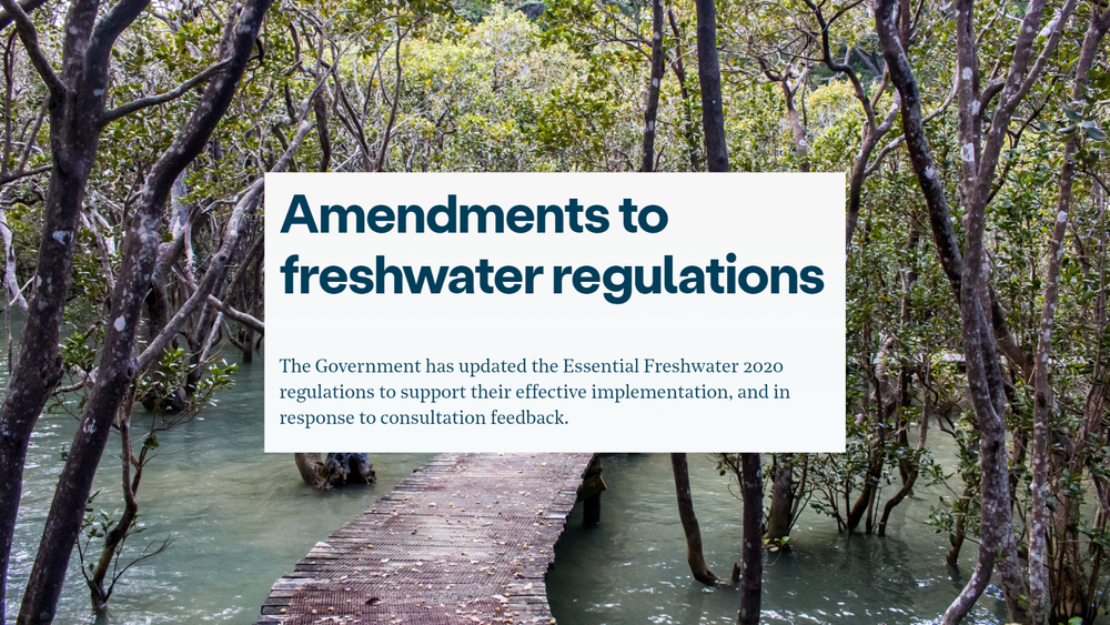 Amendments to NZ's freshwater policy risk further wetland loss — Environmental Law Initiative