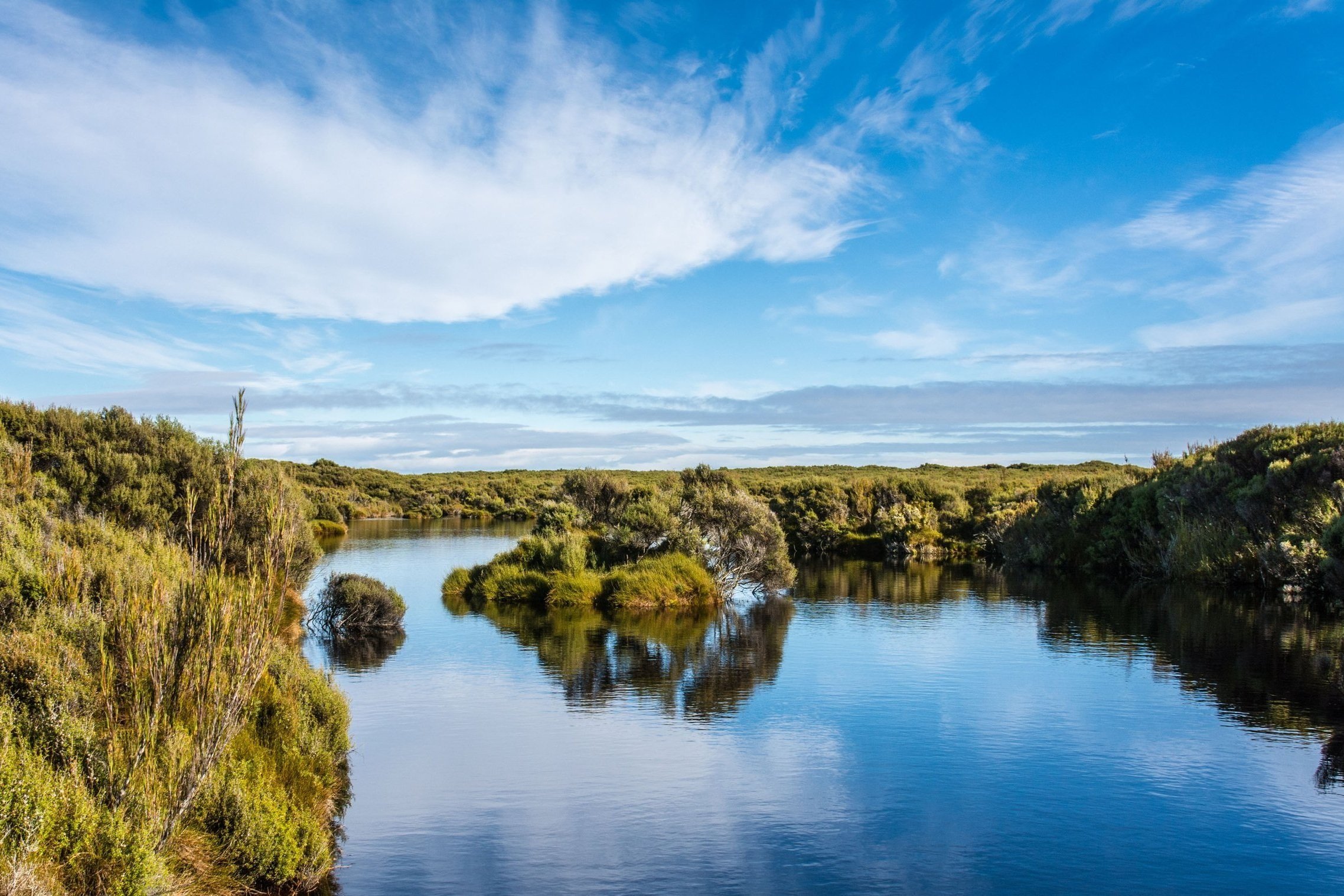 Environmental Law Initiative