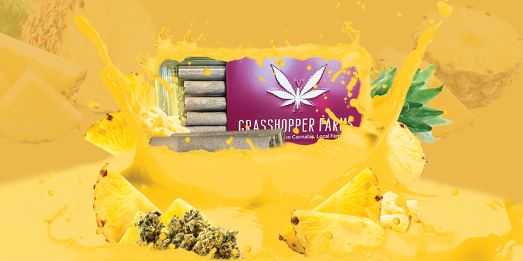 Infused Pre-Rolls ┃ Grasshopper Farms