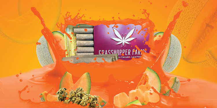 Infused Pre-Rolls ┃ Grasshopper Farms