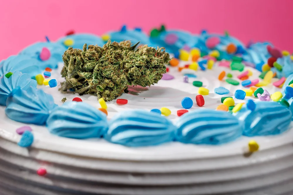 Ice Cream Cake ┃ Grasshopper Farms