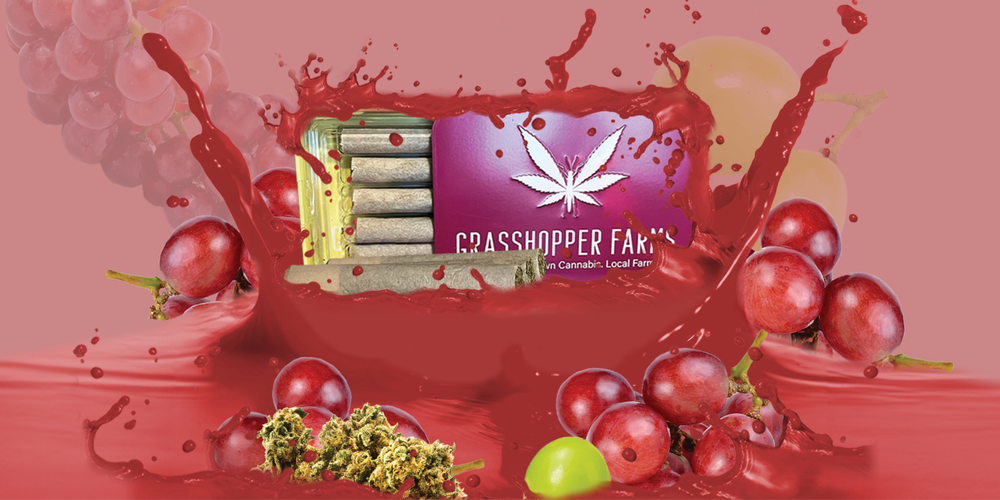 Infused Pre-Rolls ┃ Grasshopper Farms