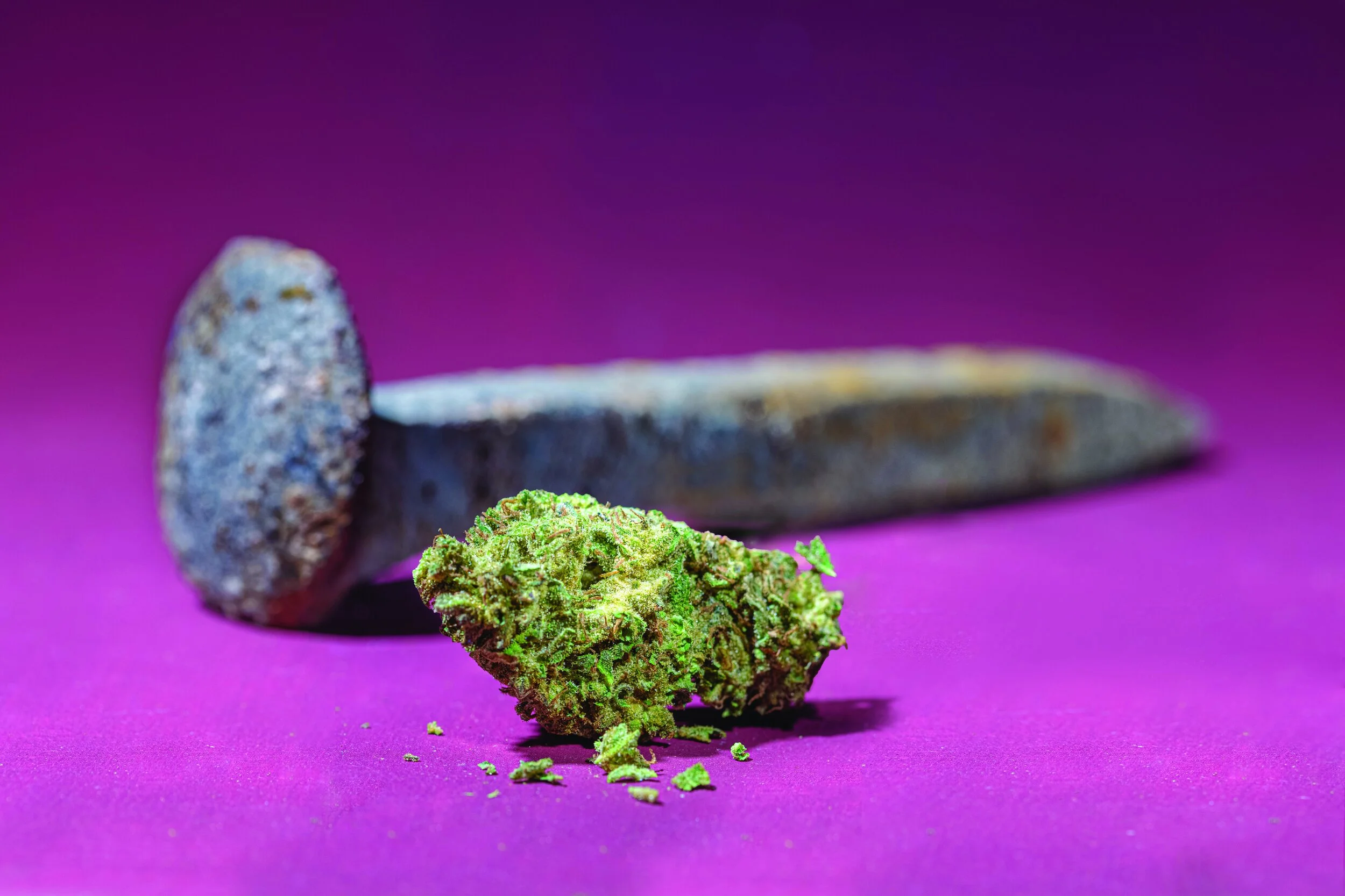 Casey Jones ┃ Grasshopper Farms