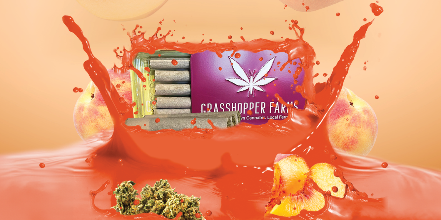 Infused Pre-Rolls ┃ Grasshopper Farms