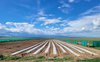 Colorado Marijuana Farm ┃ Grasshopper Farms