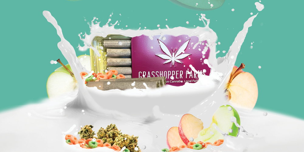 Infused Pre-Rolls ┃ Grasshopper Farms