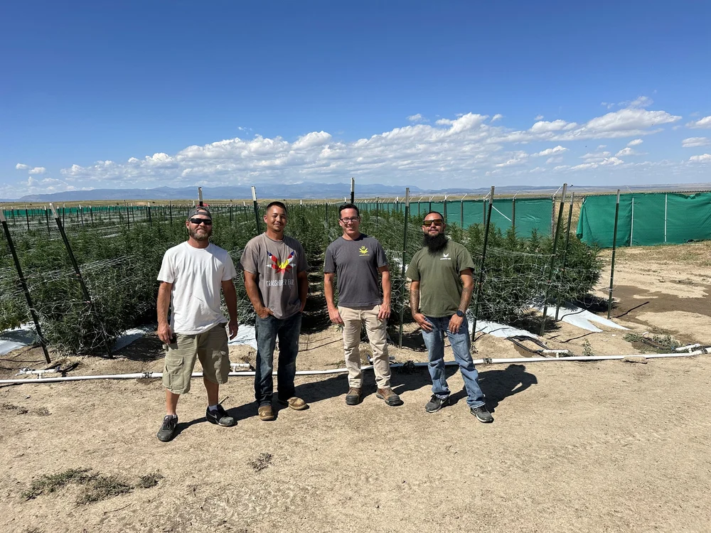 Colorado Marijuana Farm ┃ Grasshopper Farms